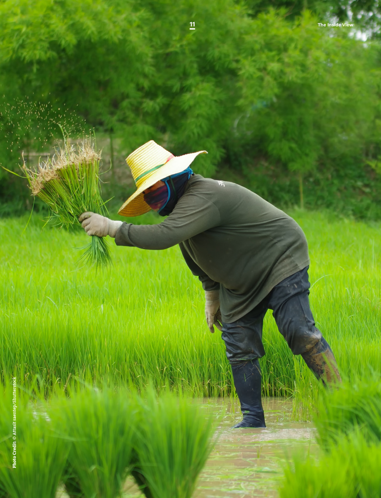 Transformative Rural Development towards Poverty Eradication in ASEAN ... Transformative Rural Development towards Poverty Eradication in ASEAN ...