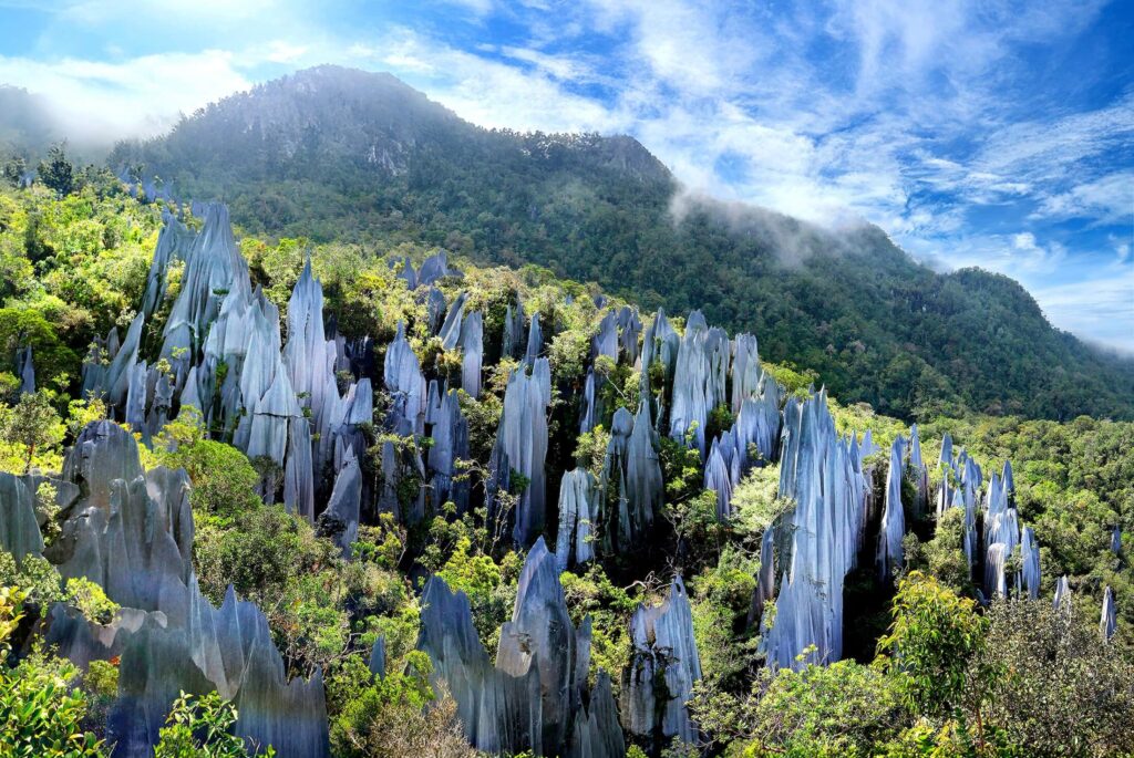 ASEAN Tourism Forum 2025: Unity in Motion, Shaping ASEAN Tourism ...