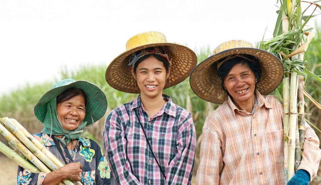 Agritech Startup Ricult: Built with Farmers, Rooted in Innovation - The ASEAN Magazine